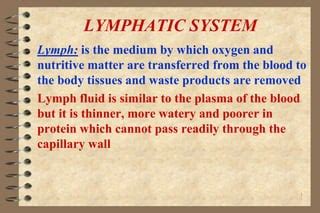 Lympatic System 2 Ppt