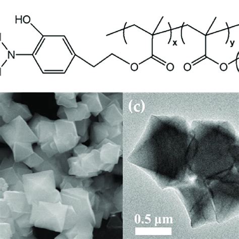 A Chemical Structure Of The Pbe Comb Copolymer B Sem And C Tem Download Scientific