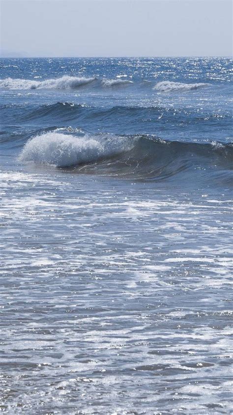 новембарско јутро Nature Photography Trees Ocean Wallpaper Scenery