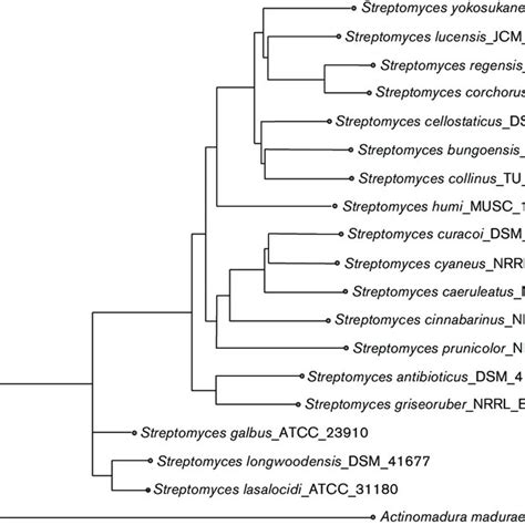 Parsimony Based Phylogenetic Tree Based On Whole Genomic Sequences