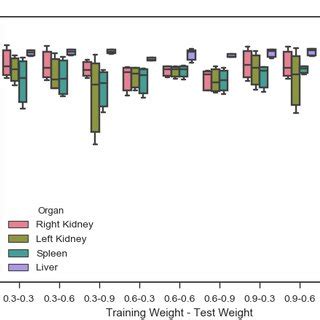 Pdf Towards Automatic Abdominal Multi Organ Segmentation In Dual