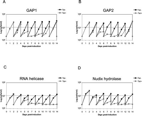 Kinetoplastid Guide Rna Biogenesis Is Dependent On Subunits Of The