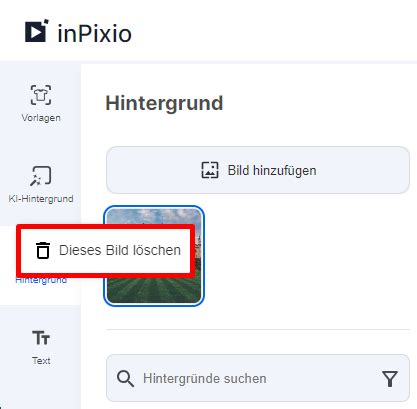 Wie Ersetze Ich Den Hintergrund In InPixio Online Photo Editor InPixio