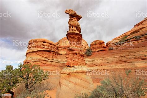 체스 여왕 코요테 Buttes 남쪽 Cbs 파리 캐년 Vermillion 절벽 황야 아리조나에서 웨이브 근처 암석 0명에 대한