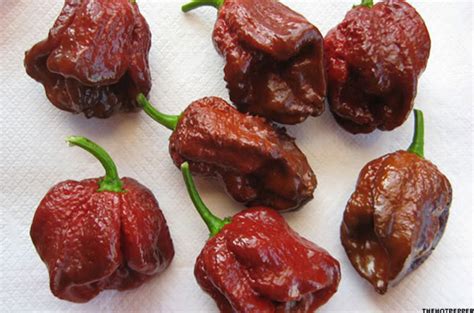 12 Hottest Chili Peppers In The World And The Three Best For Cooking