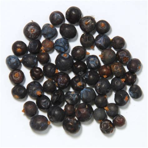 杜松莓 Juniper Berries Blue Windmill Ltd