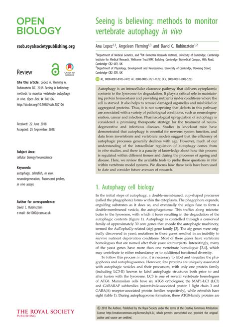 Pdf Seeing Is Believing Methods To Monitor Vertebrate Autophagy In Vivo