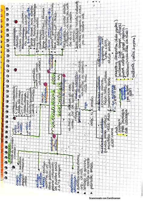 Mappe Concettuali Di 13 Capitoli Di Sociologia Schemi E Mappe