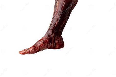 Bleeding Human Leg Isolated On White Background Stock Image Image Of