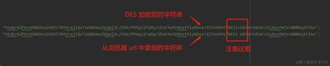 踩坑url的参数中有加号传值变为空格的问题url编码输出会把号变成空格 Csdn博客