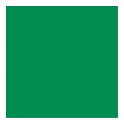 Folha De Eva Liso Verde Folha 40x48cm 1 5mm Pacote Com 10un Shopee Brasil