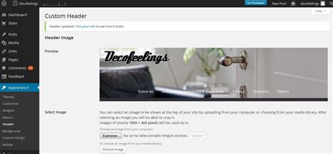 Header Image Size Premium Theme Support