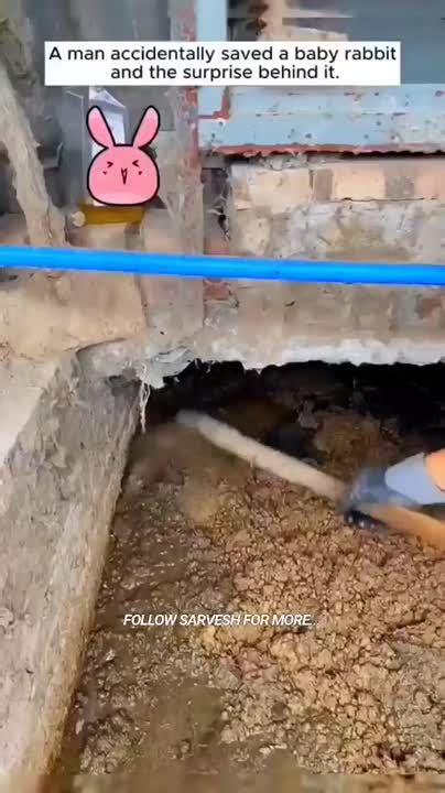 Here Are Five Points That Explain Why Innovation Is Not Just About