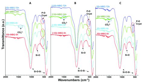 Fourier Transformed Infrared Spectroscopy Ftir Spectra Of A Download Scientific Diagram