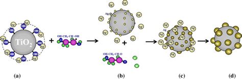 The Schematic Representation Of Synthesized Agtio2 Nps A Ag⁺ Ions