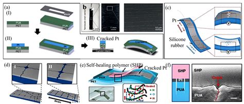 Schematic Diagram Of Crack Based Sensor Based On Pua A The Process