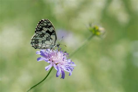 Asteon Zientzia Begi Bistan 537 Zientzia Kaiera