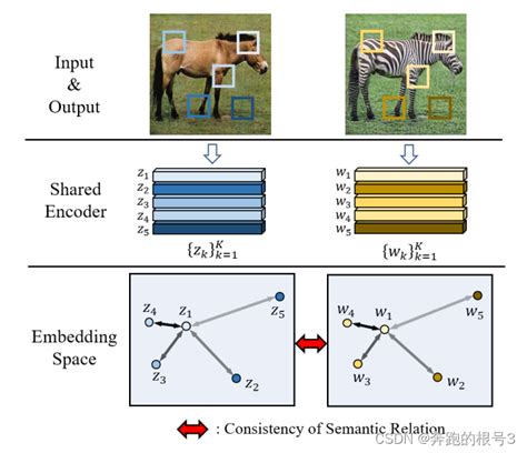 Exploring Patch Wise Semantic Relation For Contrastive Learning Inimage To Image Translation