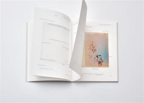 In Sight The Washington Post