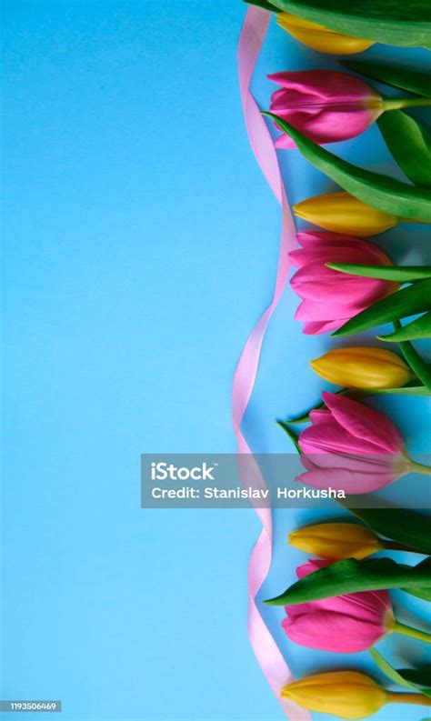 青い背景にピンクのリボンを持つ色の花 まぶしいのストックフォトや画像を多数ご用意 まぶしい イラストレーション ウクライナ
