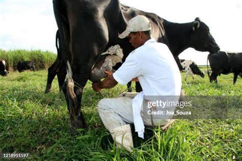 Manual Farming Photos And Premium High Res Pictures Getty Images