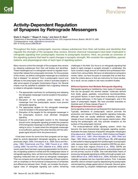 Synaptic Regulation By Retrograde Messengers A Neuroscience Review