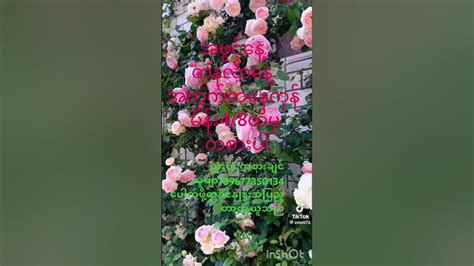 အားလုံးရကြပါစေ Youtube