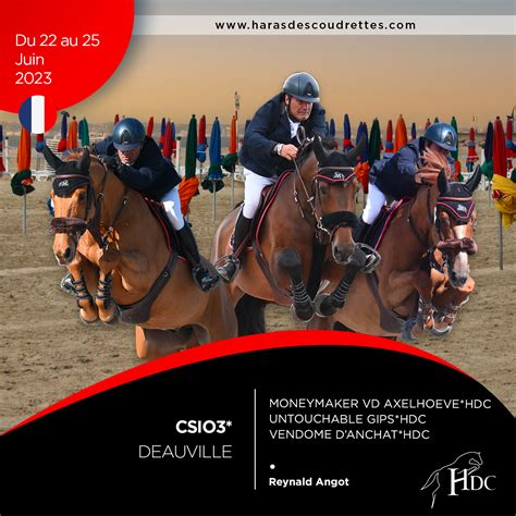 Le Haras Des Coudrettes Bonne Route Flash Mcqueen