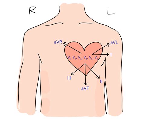 Interpreting A 12 Lead Electrocardiogram 12 Lead Ecg Resources Acls Certification Association