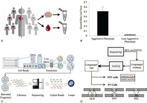 Linked Read Sequencing Analysis Reveals Tumor Specific Genom