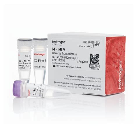Invitrogen™ M Mlv Reverse Transcriptase 200 Uμl Fisher Scientific
