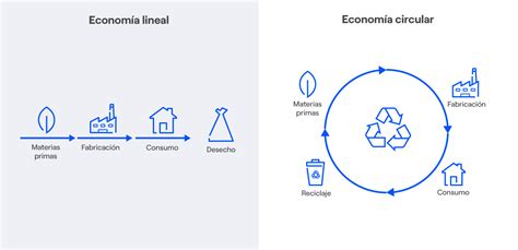Economía Circular Definición Ejemplos Y Beneficios Endesa