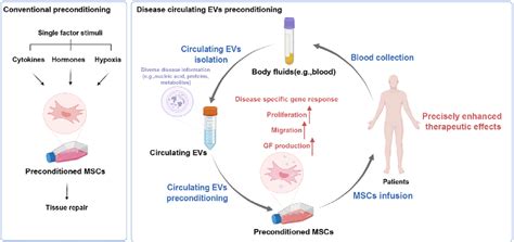 Figure 1 From Disease Derived Circulating Extracellular Vesicle Preconditioning A Promising