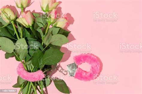파스텔 핑크 배경에 분홍색 장미와 털복숭이 수갑이 있는 봄의 창의적인 낭만적인 레이아웃 80년대 또는 90년대 복고풍 패션 미적