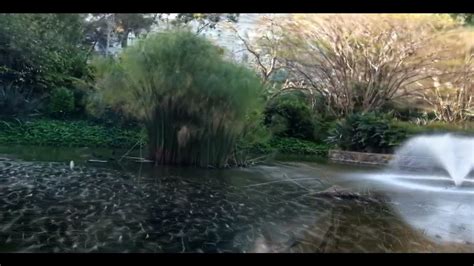 Testing Gaussian Splatting On Vast Scene Treasury Gardens Melbourne Fujifilm Xq2 Imagery