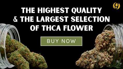 Thca Legal Status In Pennsylvania A Clear Guide Gold Canna