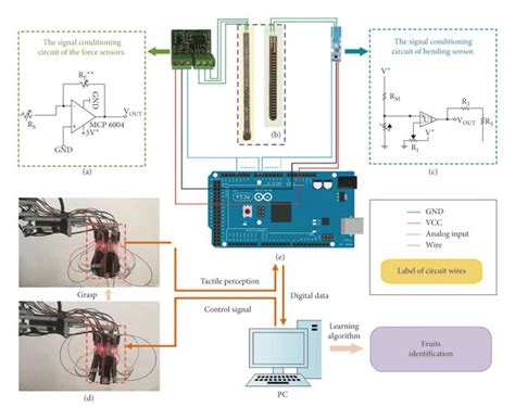 Overview Of The Fruit Identification System A Signal Conditioning Download Scientific