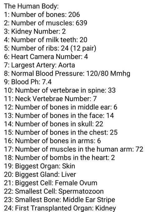 Skeletal System Anatomy Types Of Irregular Bones Notes Worksheet Chart