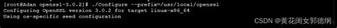 Linux安装python3（超详细）解决can‘t Connect To Url Because The Ssl 的报错黄花