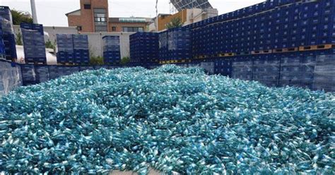 진로이즈백 빈 병 200만개 왜 롯데주류 창고에 쌓여 있나