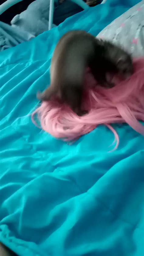 Shes Just Built Different Scrolller