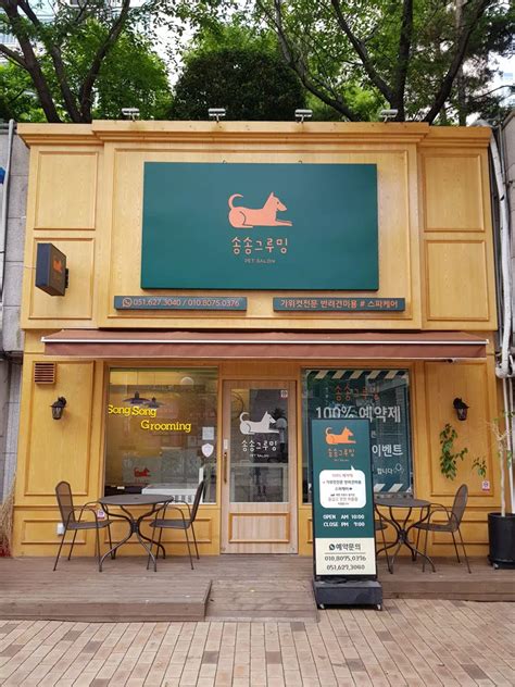 송송그루밍 부산 남구 애견동반 미용