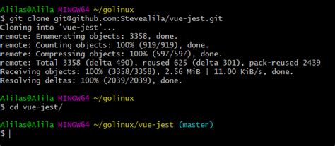 Git Blame Explained In Laymans Terms Practical Examples Golinuxcloud