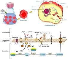 Bioresource Technology X Mol