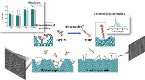 Glycerol Phosphate Dimethacrylate An Alternative
