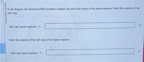 Solved In The Diagram The Telomerase Rna Template Contains
