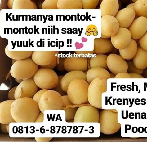 Jual Kurma Muda
