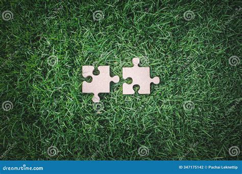 Pair Of Puzzle Pieces On Green Grass Representing Connection And
