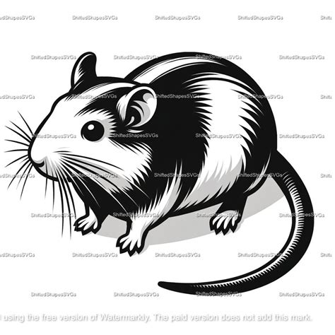 Gerbil Svg Bundle Etsy