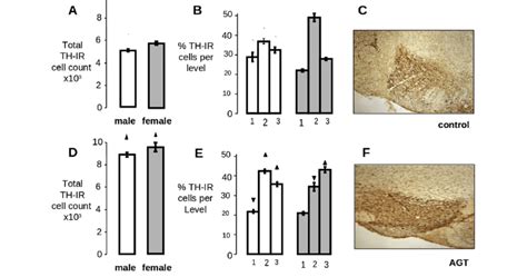 Sex Differences And Impact Of Antenatal Glucocorticoid Treatment AGT Download Scientific